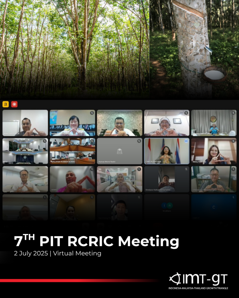 The 7th Meeting of Project Implementation Team (PIT) on Rubber Cities ...